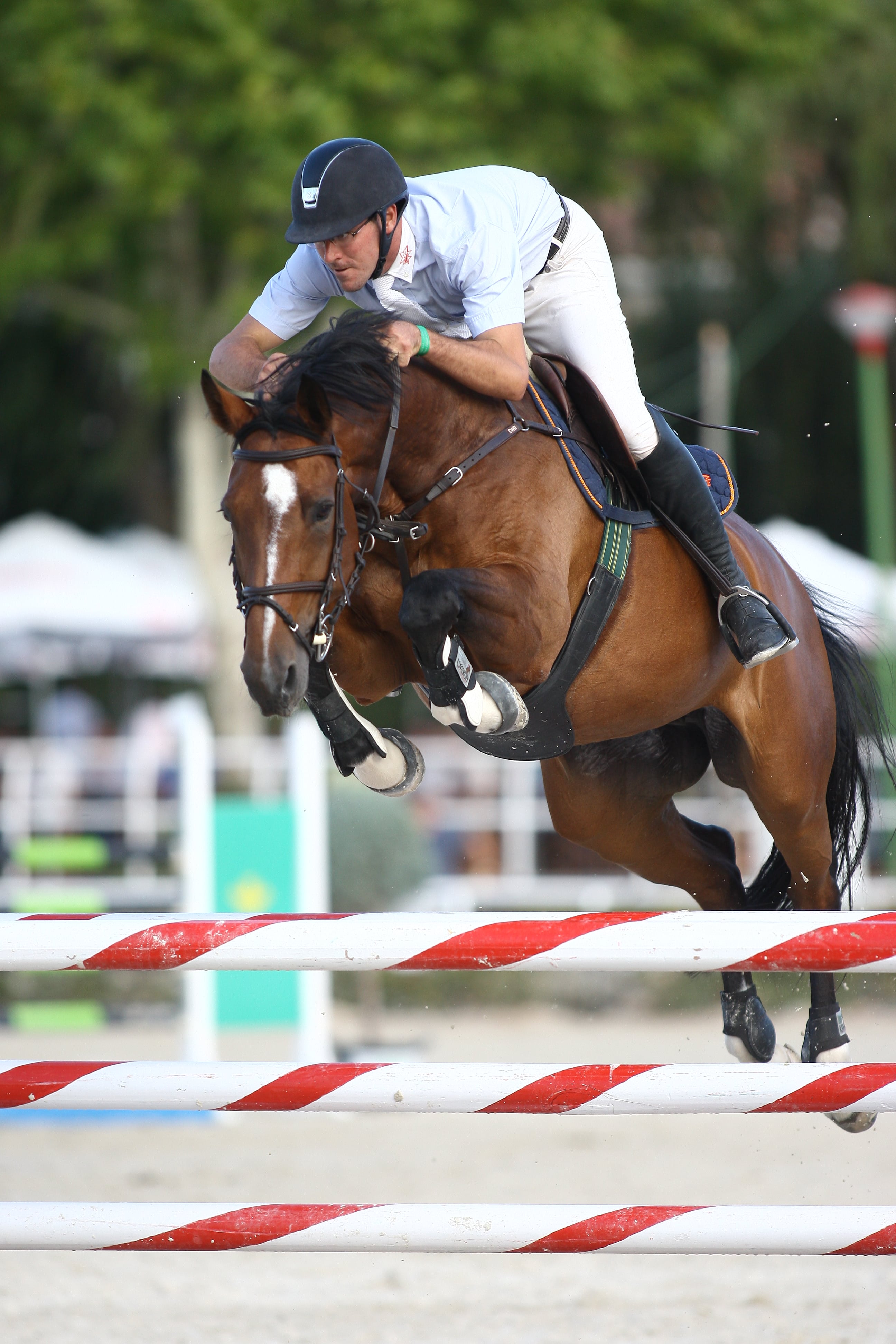 Equipamientos para la equitación - Hípica Champion Horse